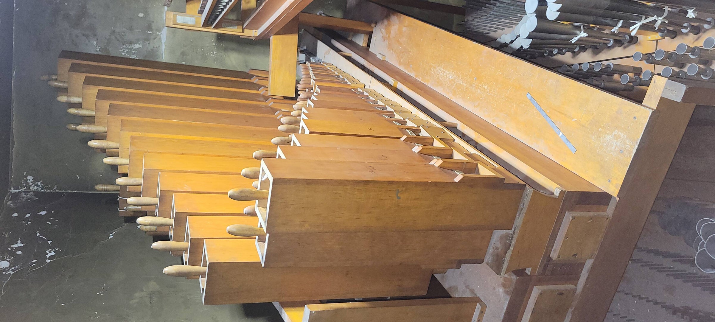 Home About Shows & Events Weddings Tours Gallery Barton Organ